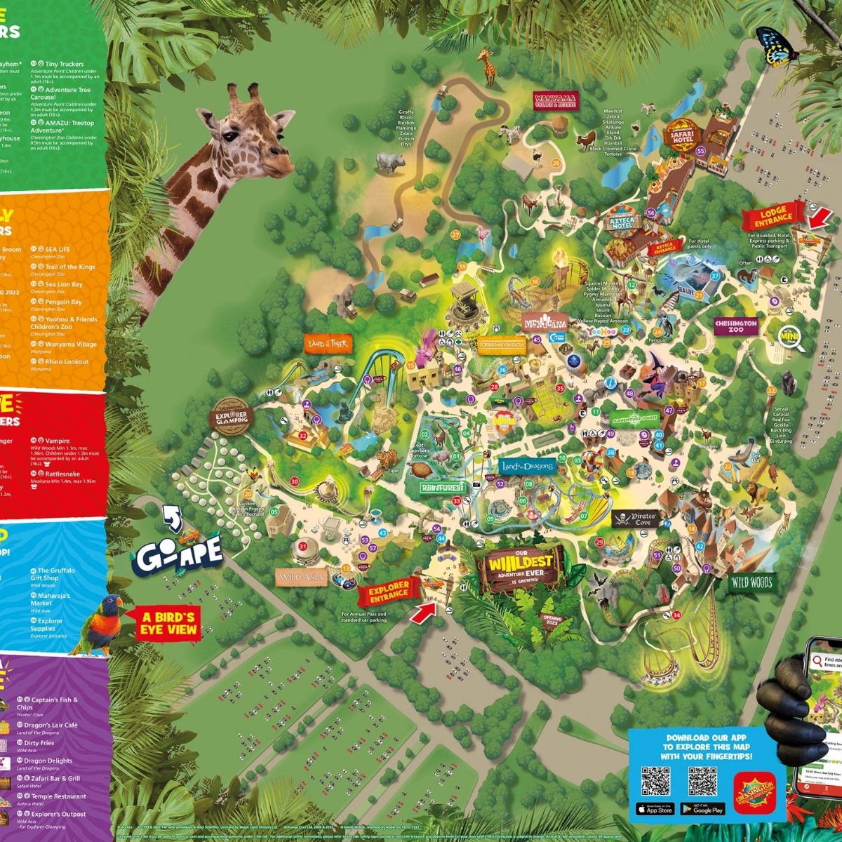 Meadows School - "Kid's Day Out" at Chessington World of Adventures