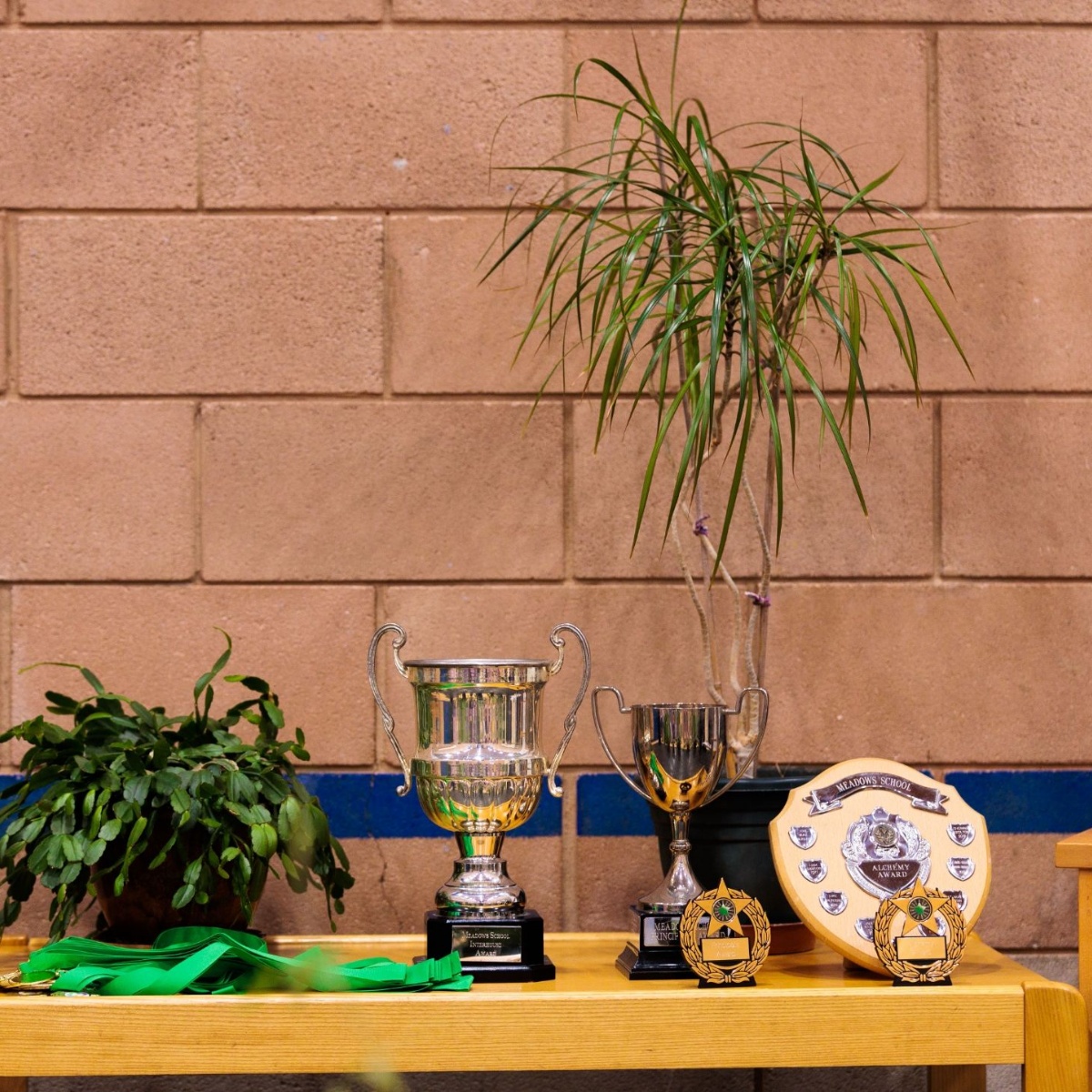 Meadows School - Celebrating Student Excellence